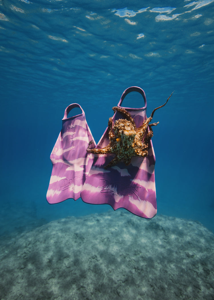 DaFin Australia - The SwimFin preferred by the World’s Best Waterman ...